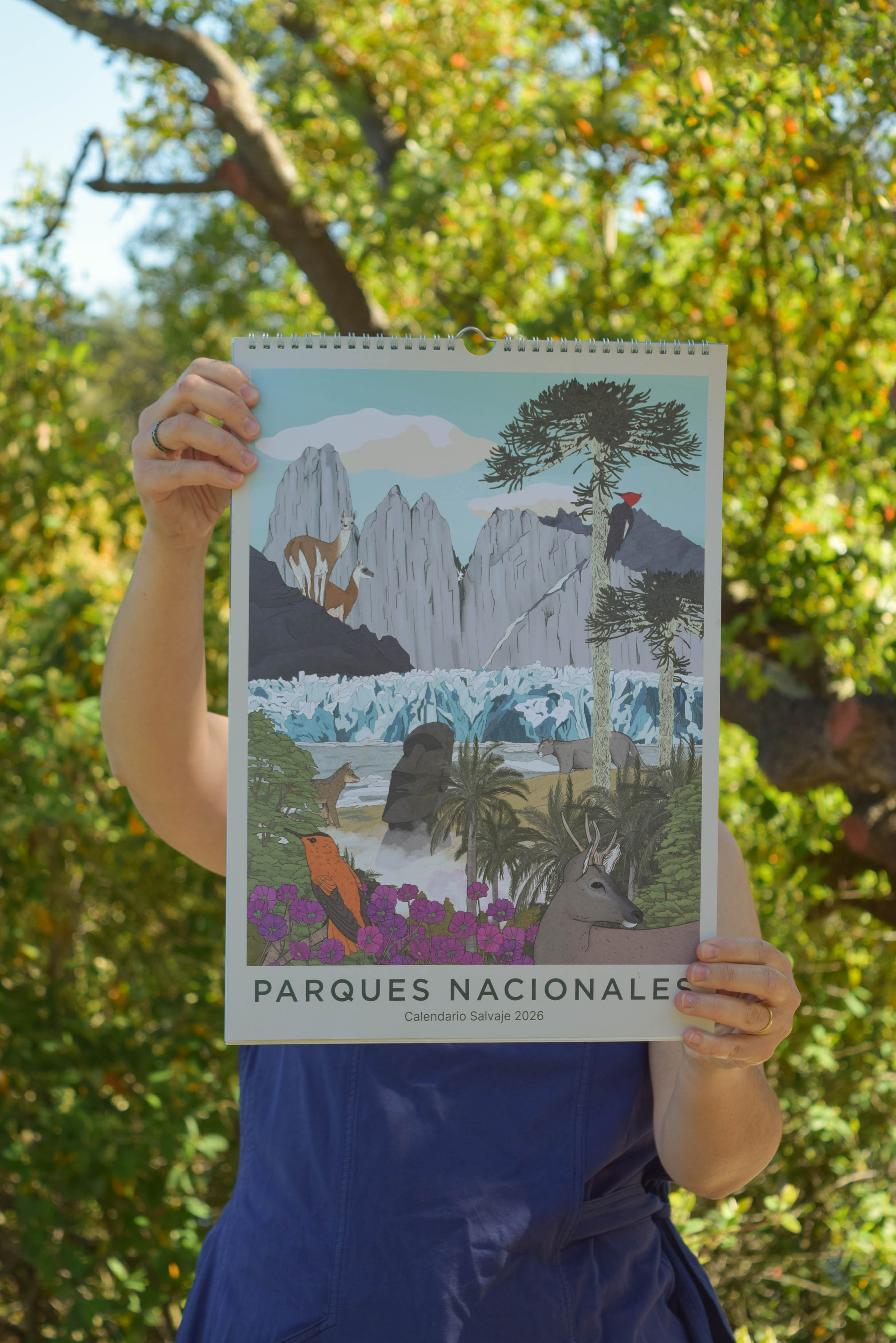 Calendario 2026 ilustrado de Parques Nacionales de Chile | Salvaje